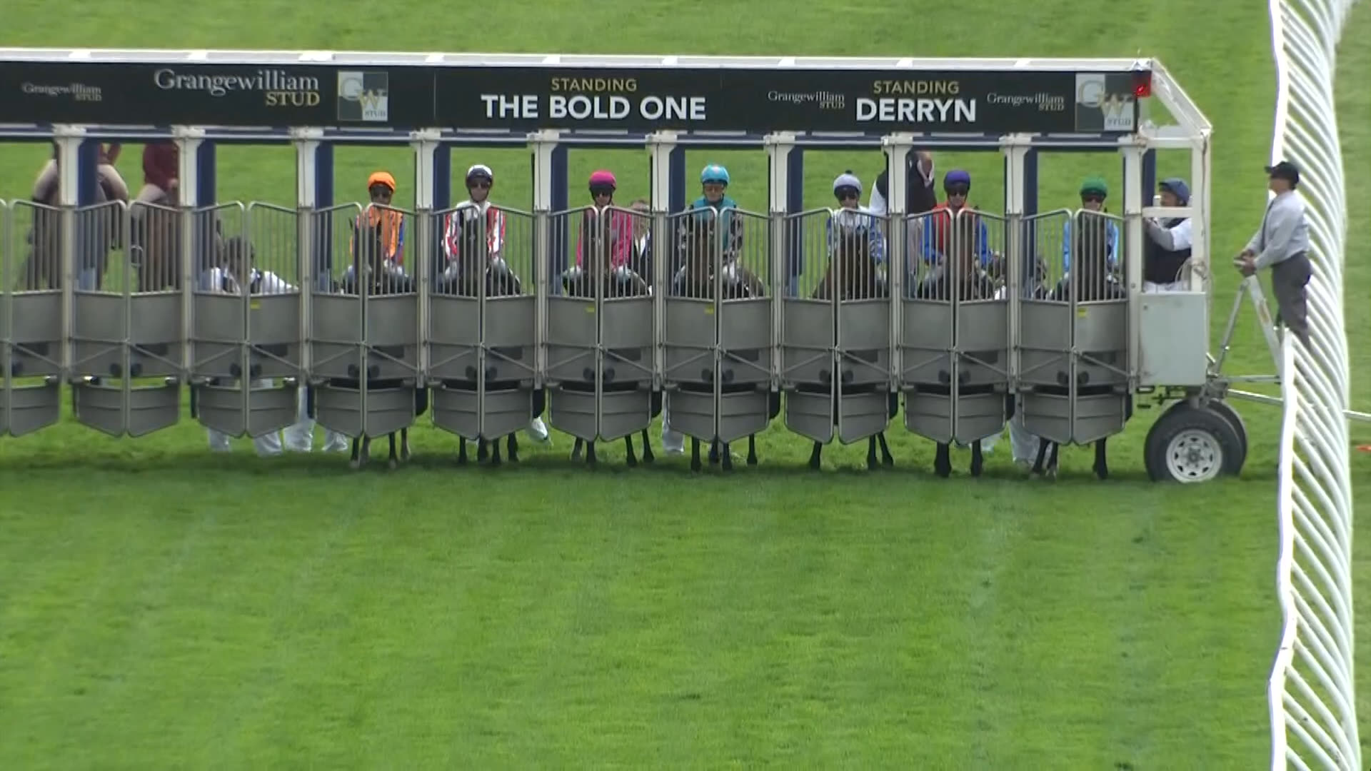 Wanganui Race 5: 31-08-2024