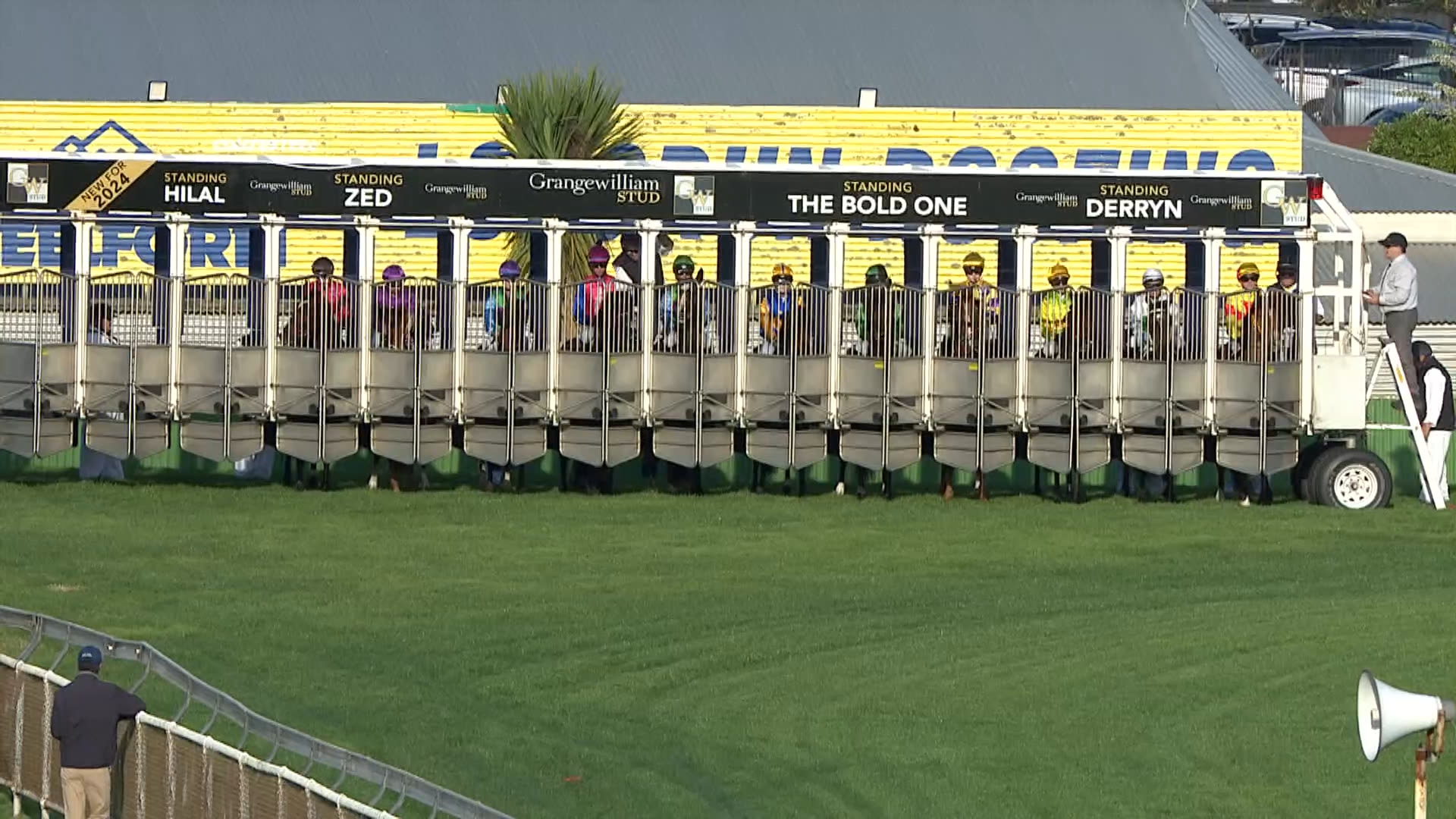 Wanganui Race 8: 31-08-2024