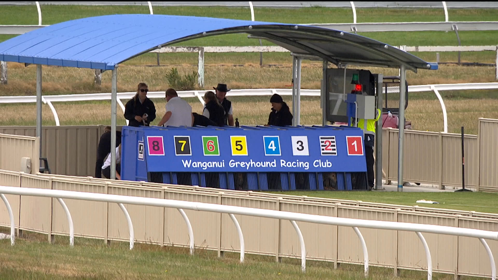 Whanganui Straight Race 6: 31-12-2024
