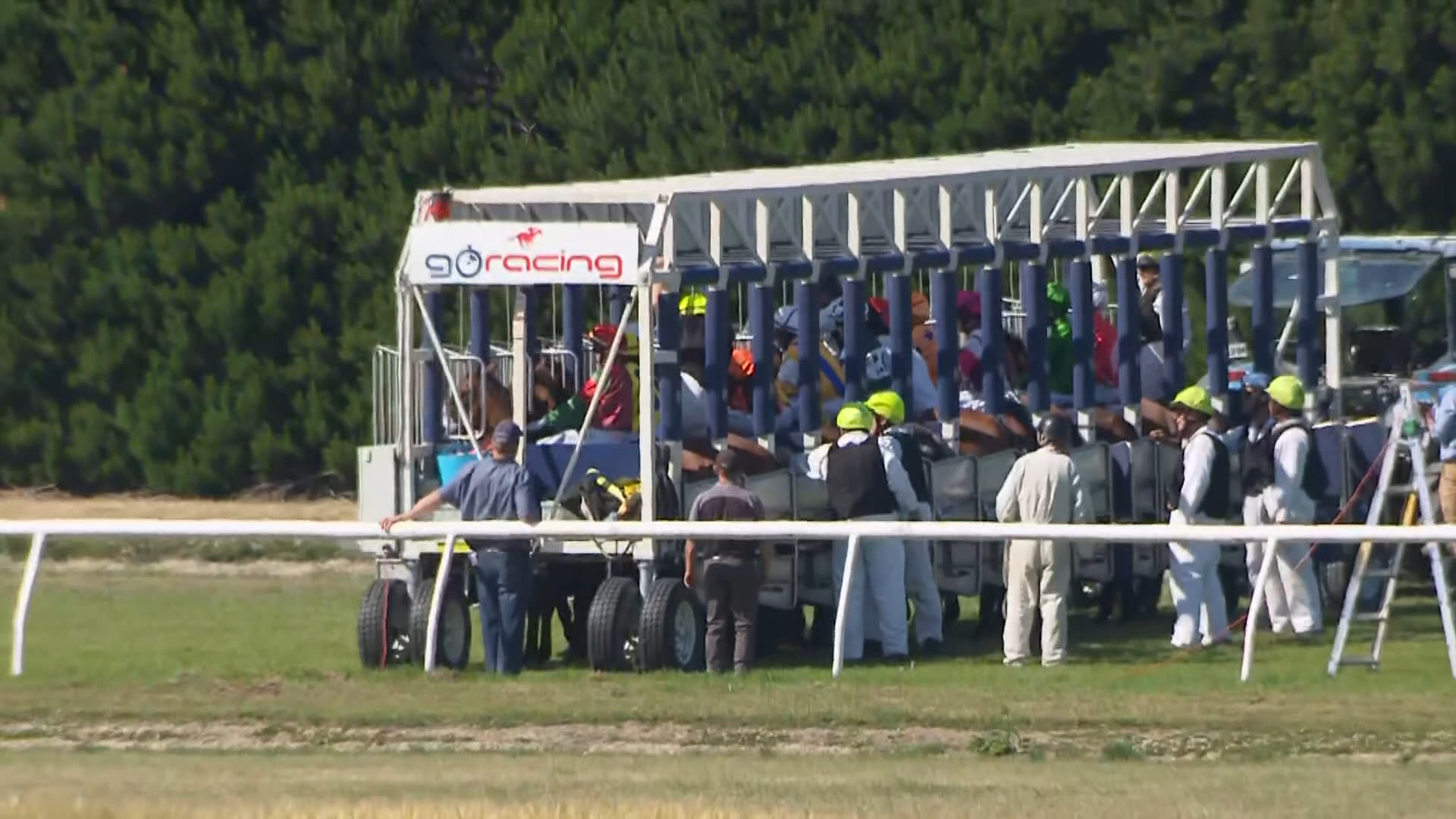 Timaru Race 7: 28-12-2024