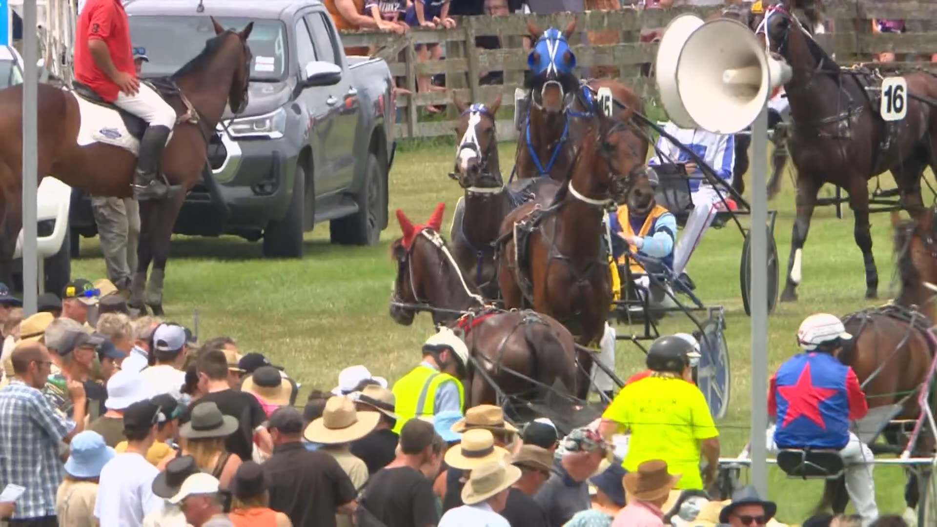 Motukarara Race 3: 29-12-2024