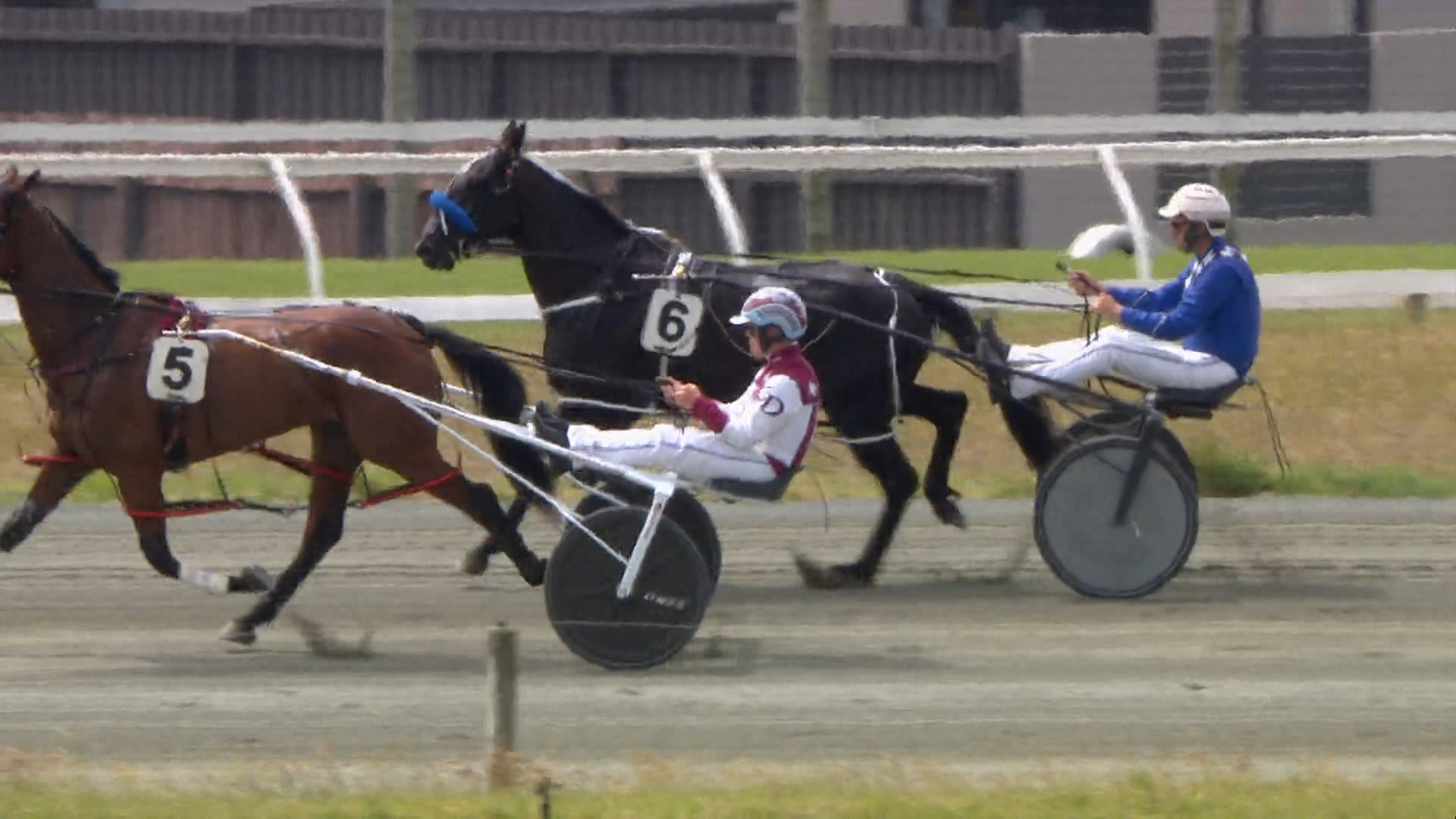 Invercargill Race 1: 20-12-2024