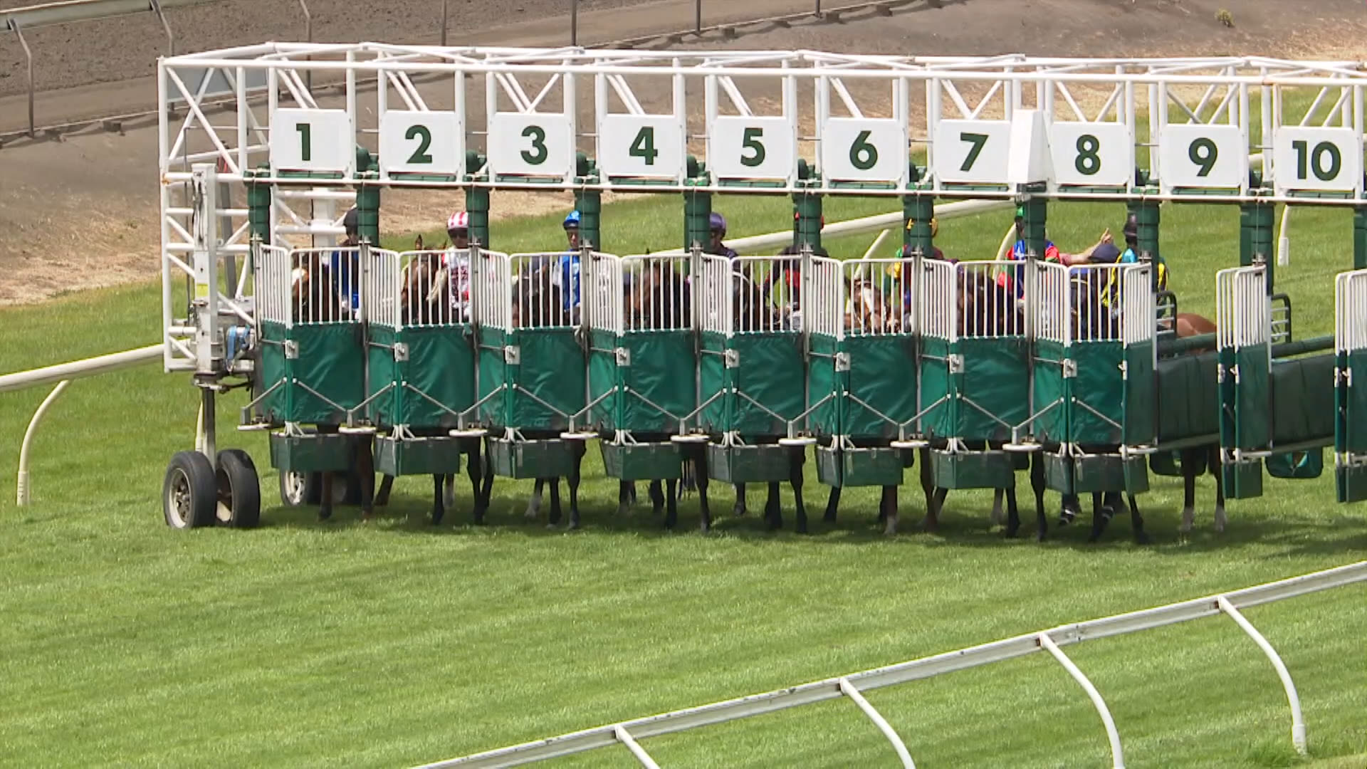 Pukekohe Race 2: 07-11-2024