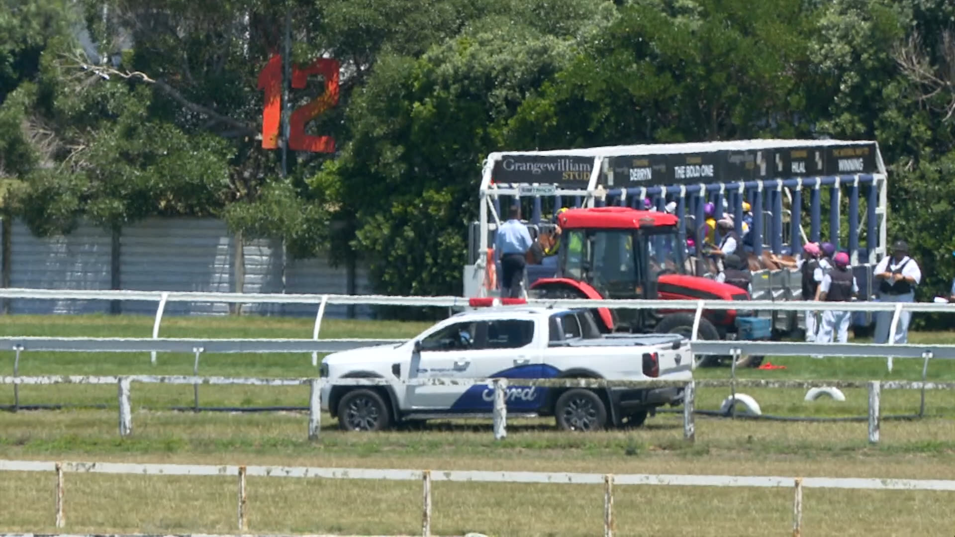 Whanganui Race 2: 30-11-2024