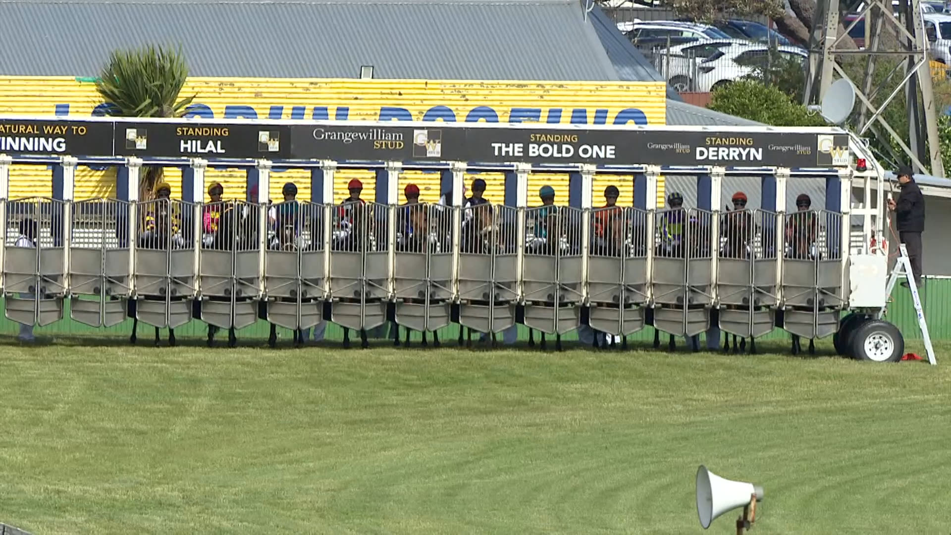 Whanganui Race 8: 23-11-2024