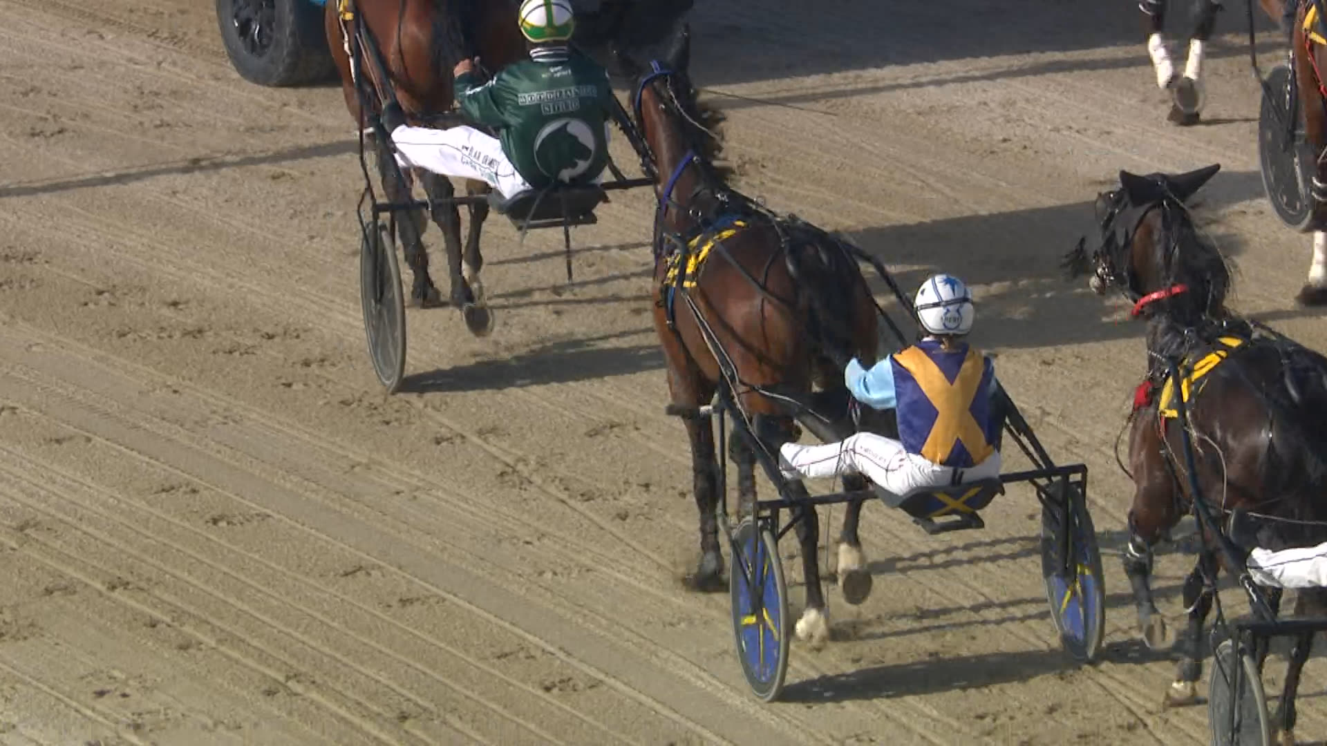 Addington Race 12: 12-11-2024