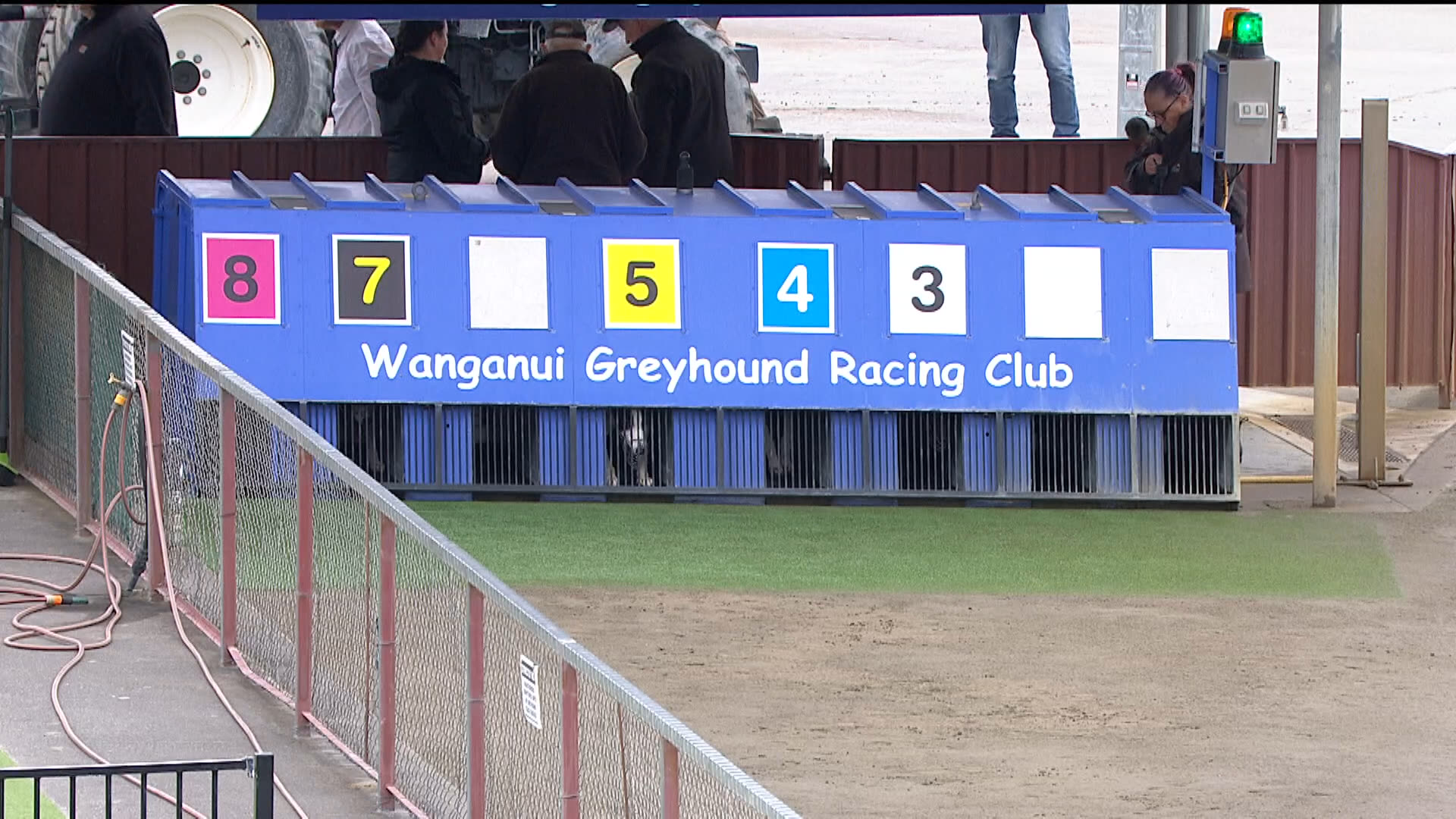 Whanganui Race 1: 01-11-2024