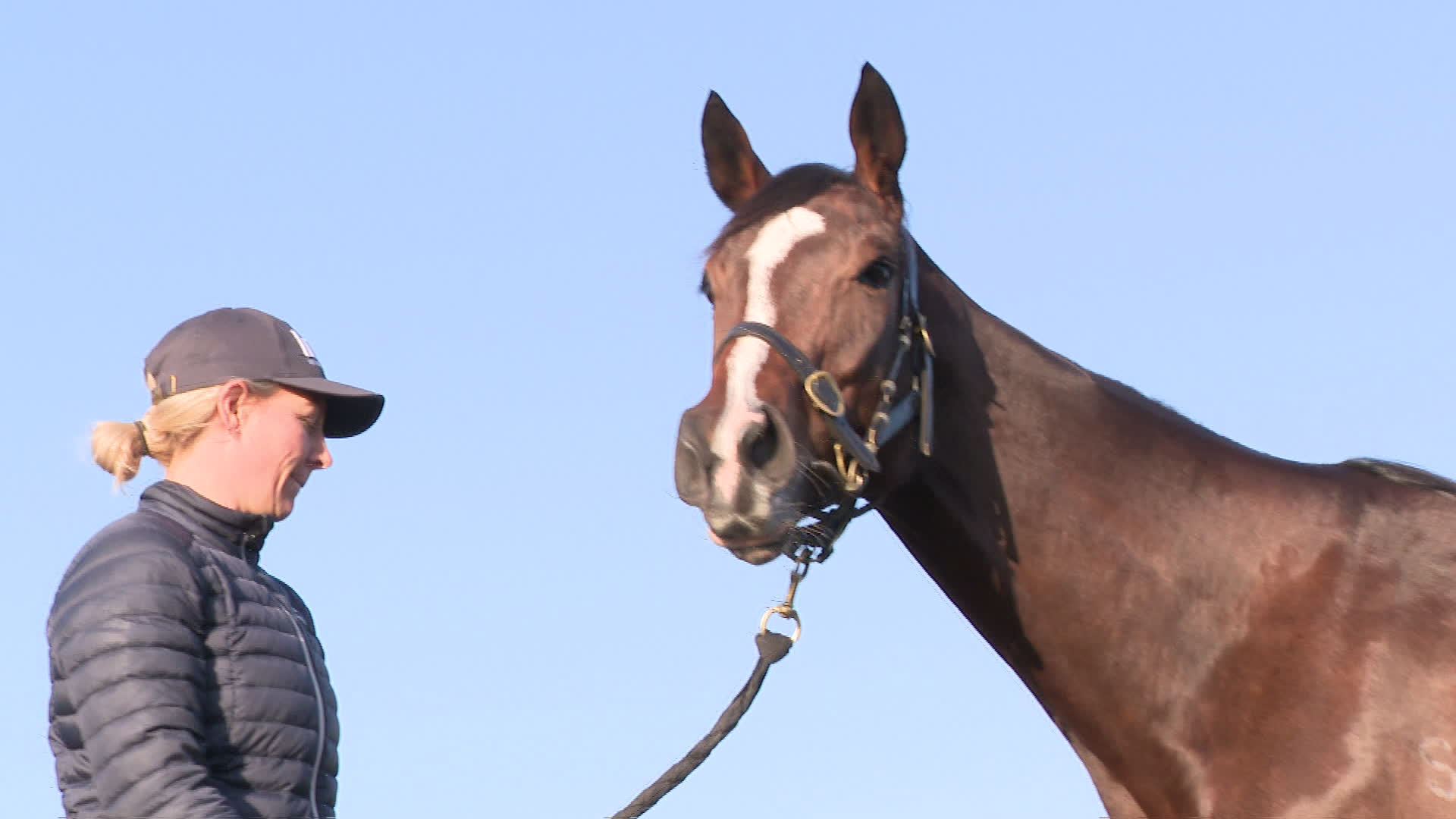 Watch Racing Live & On Demand | Trackside NZ