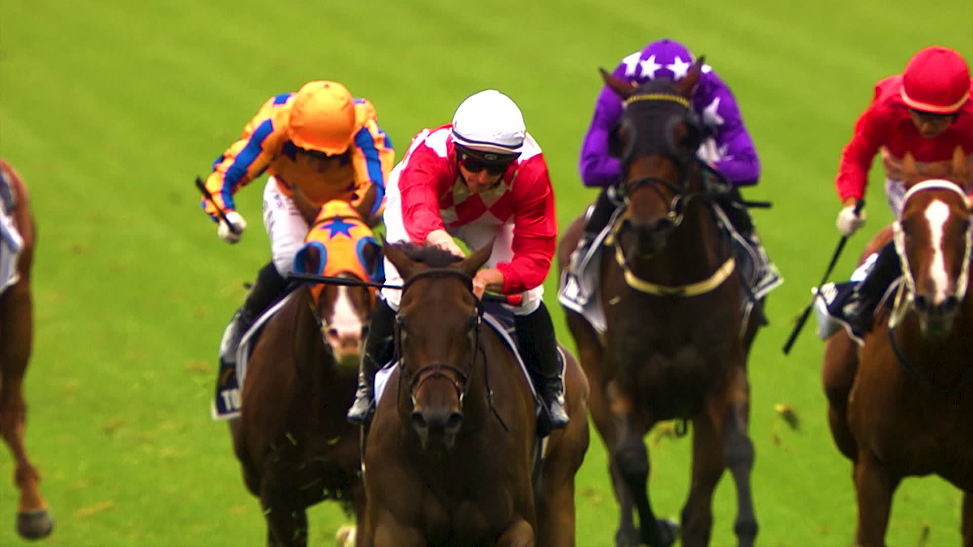 Watch Racing Live & On Demand | Trackside NZ