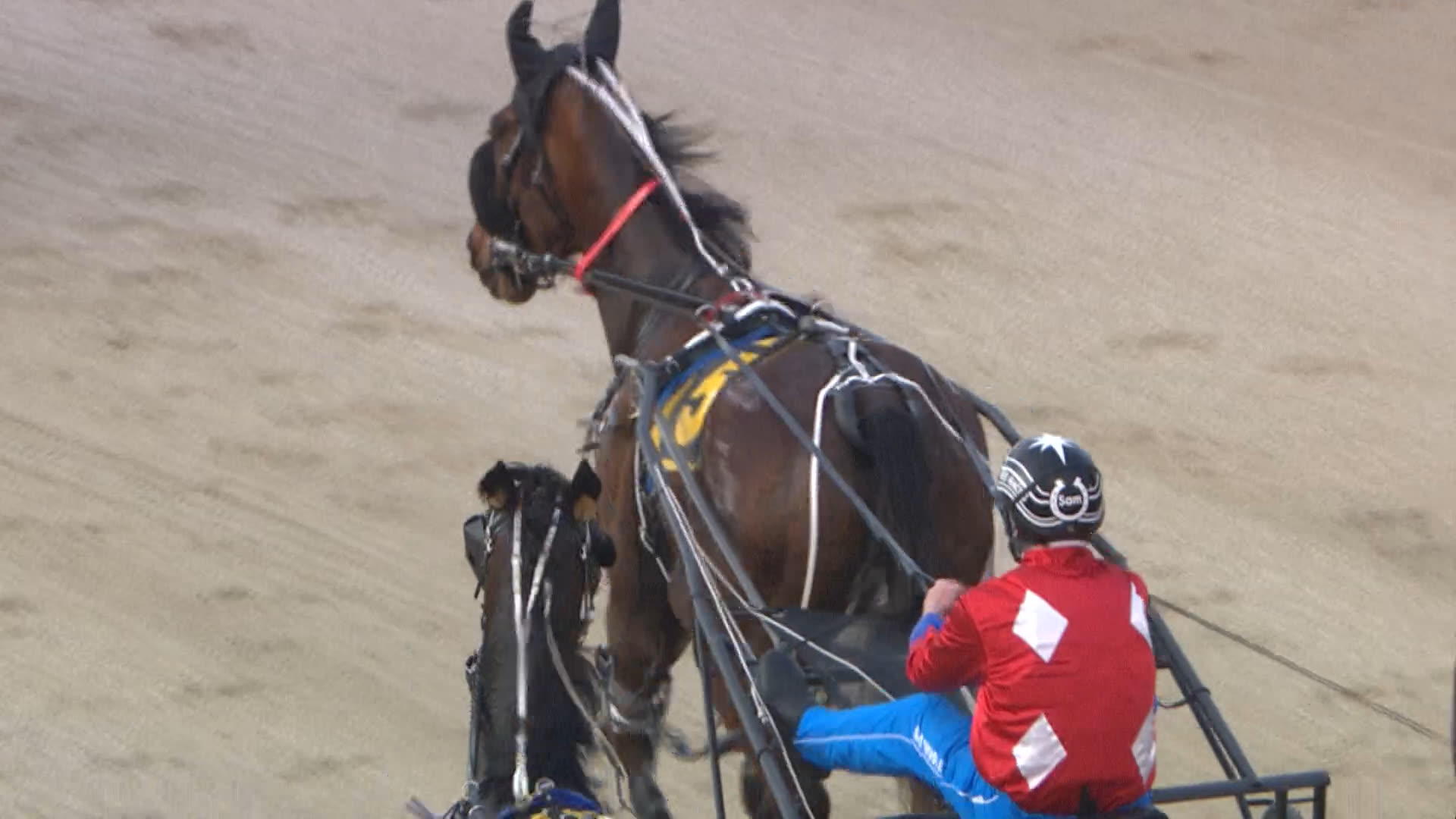 Addington Race 2: 20-09-2024