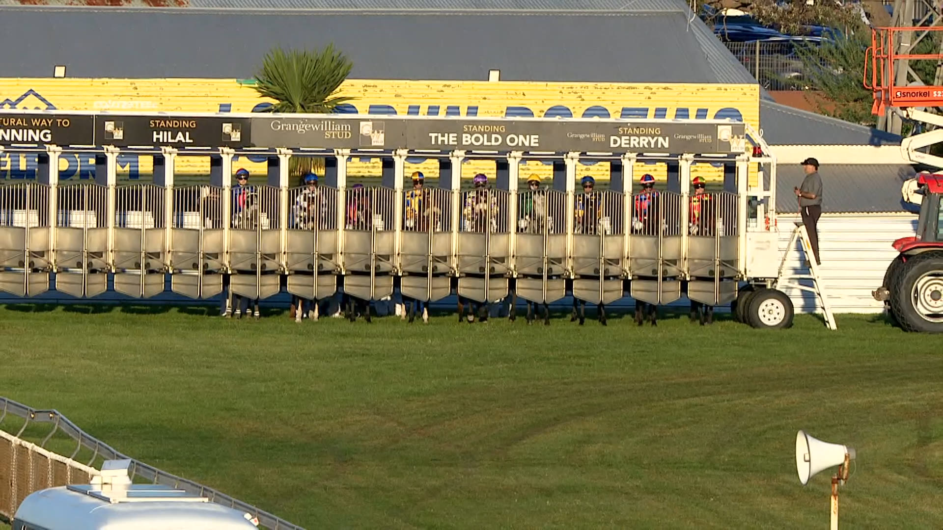 Whanganui Race 8: 27-04-2025