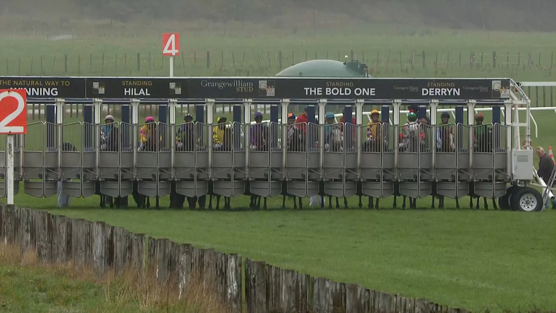 Waverley Race 6: 21-04-2025