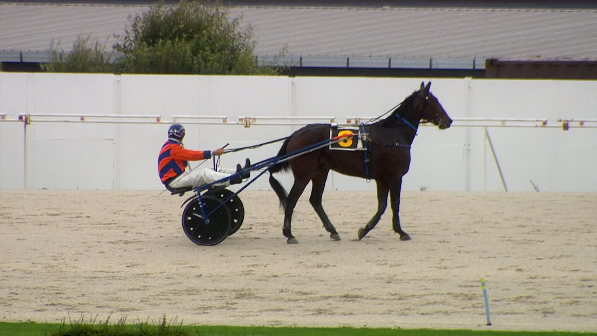 Addington Race 1: 21-04-2025