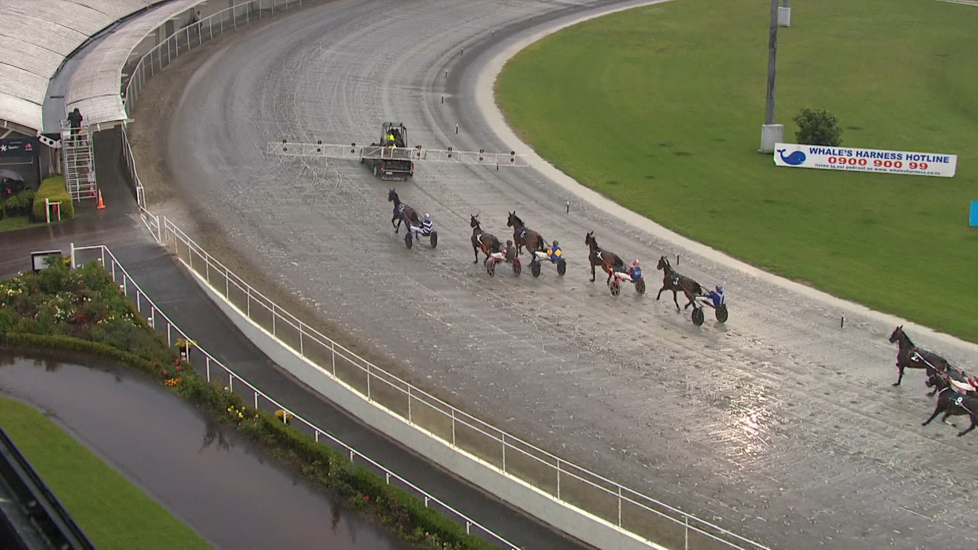 Pukekohe Race 8: 31-12-2025