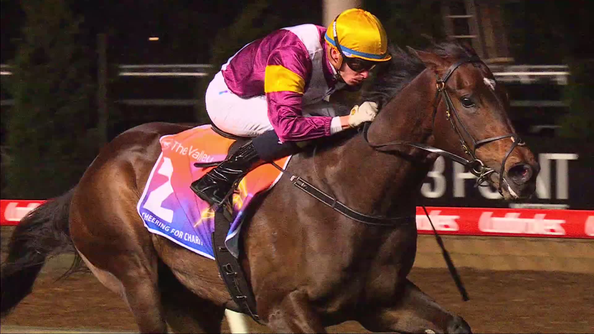 Watch Racing Live & On Demand | Trackside NZ