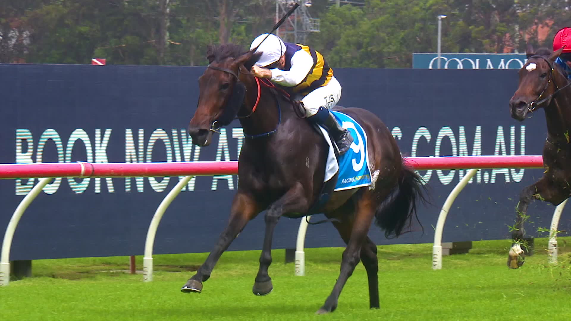 Watch Racing Live & On Demand | Trackside NZ