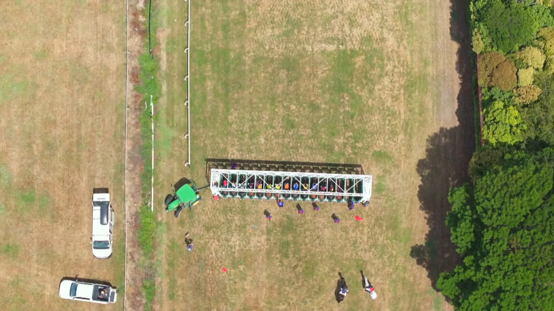 Te Rapa Race 5: 08-02-2025