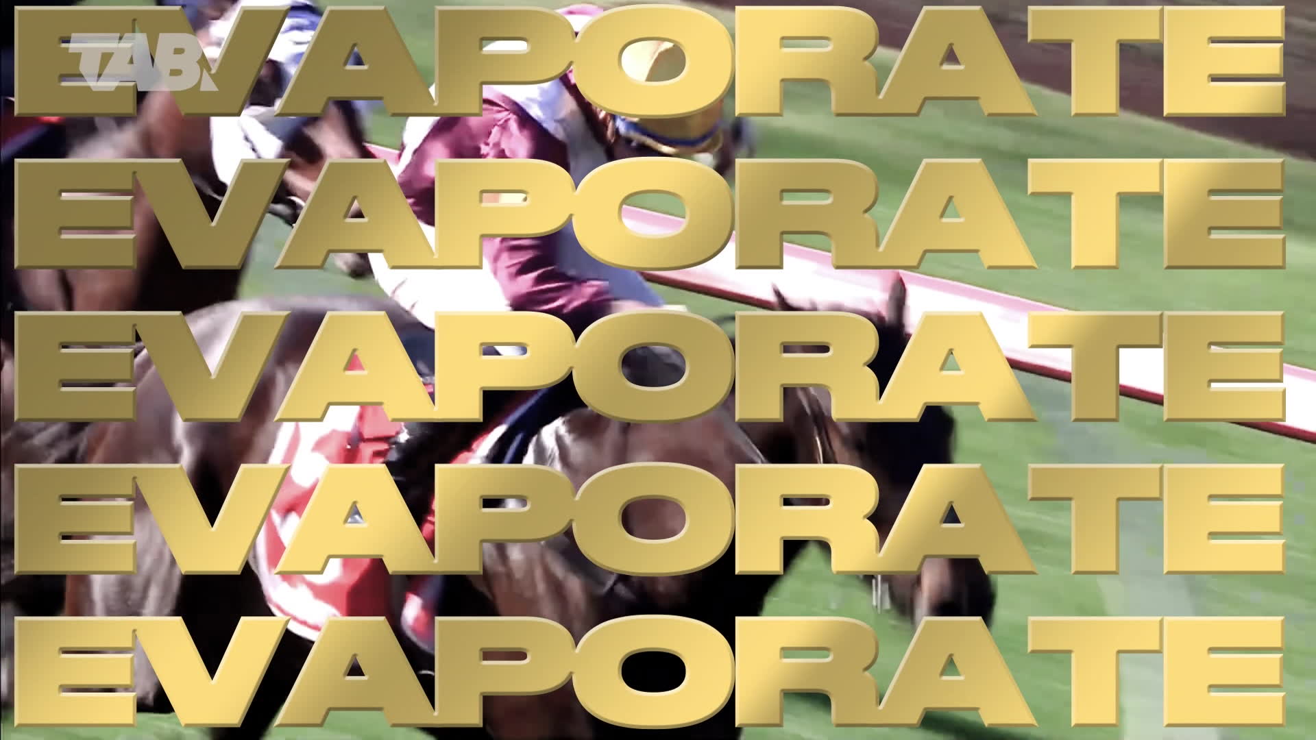 Watch Racing Live & On Demand | Trackside NZ