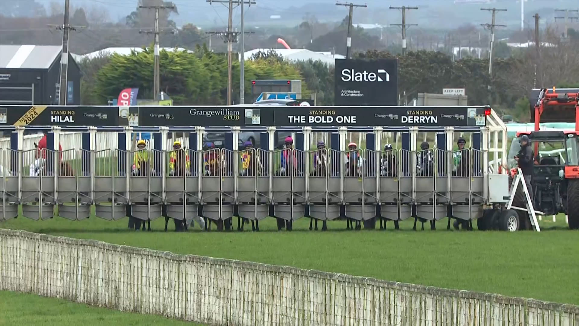 Hawera Race 8: 15-07-2025