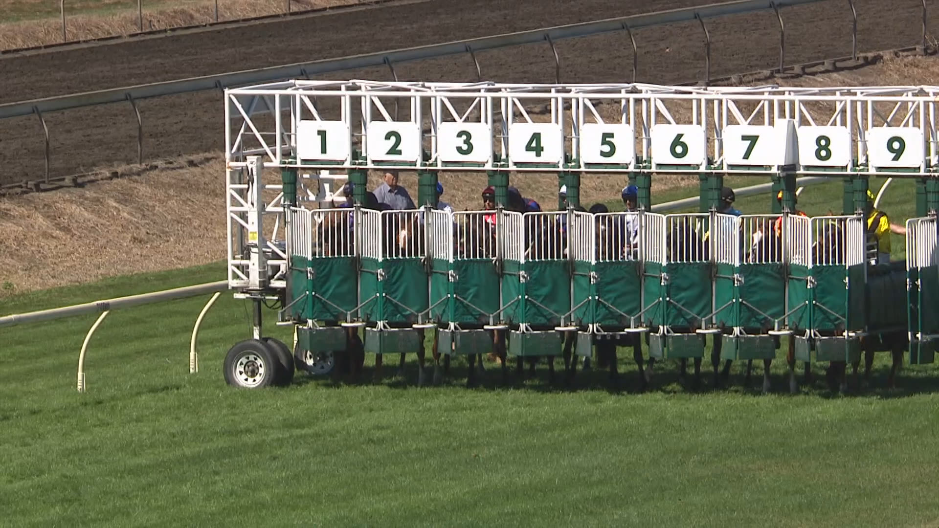 Pukekohe Race 4: 21-03-2025