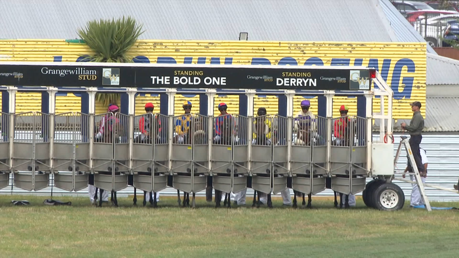 Whanganui Race 6: 15-03-2025