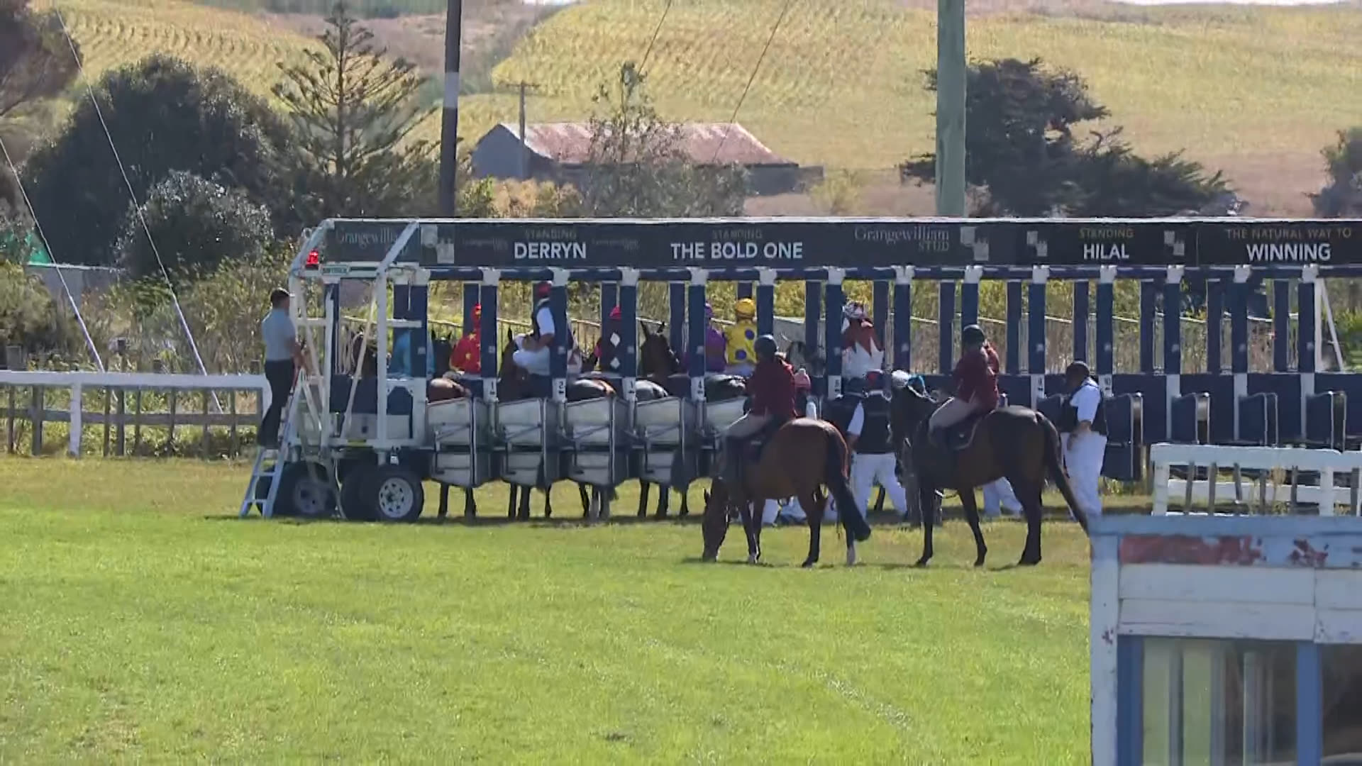 Waverley Race 8: 06-03-2025