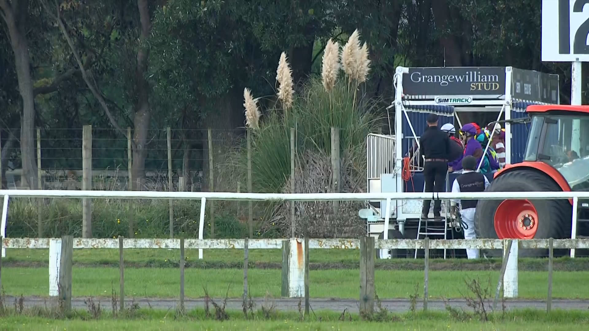 Hawera Race 7: 06-05-2025