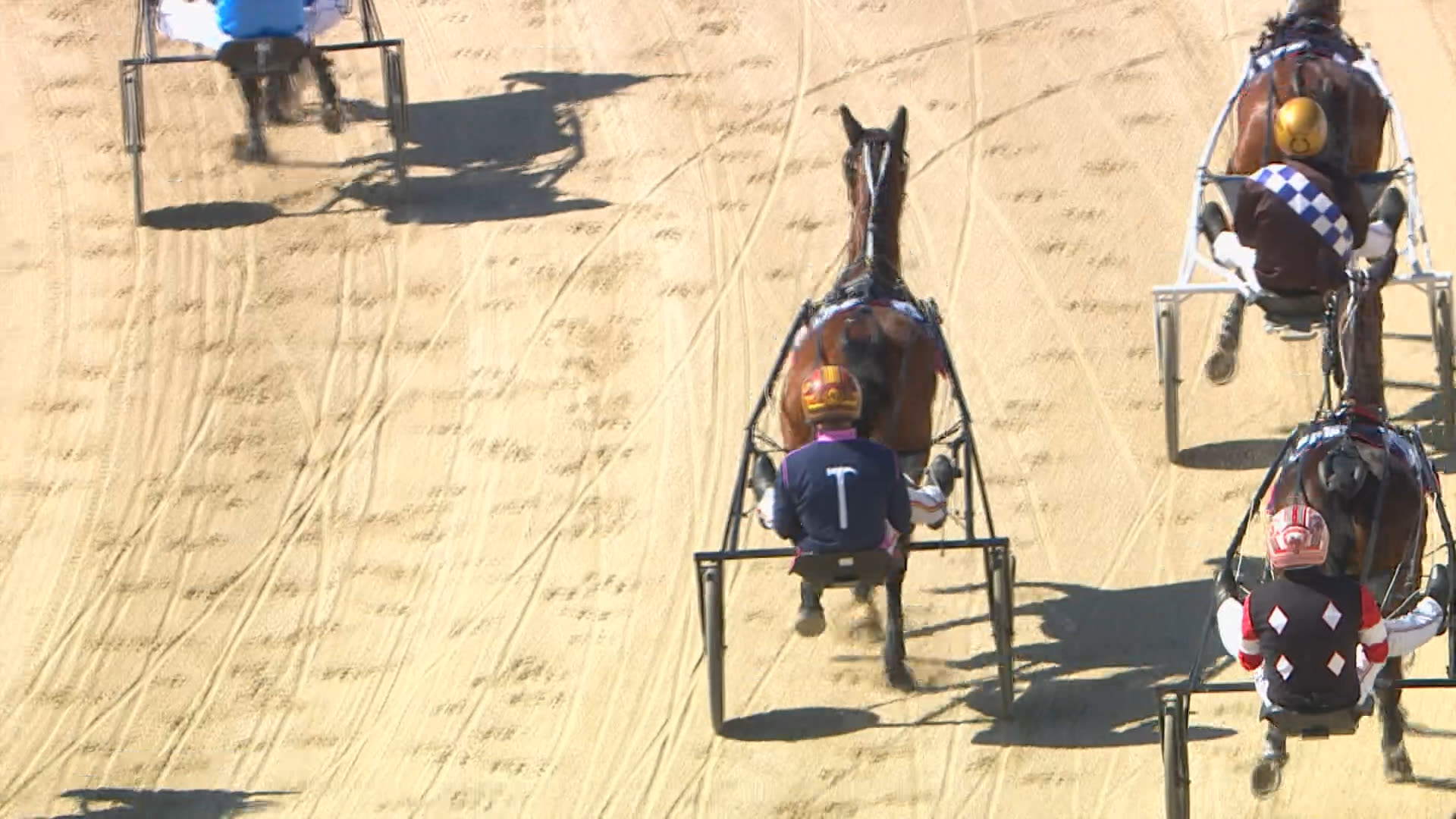 Addington Race 5: 14-11-2025