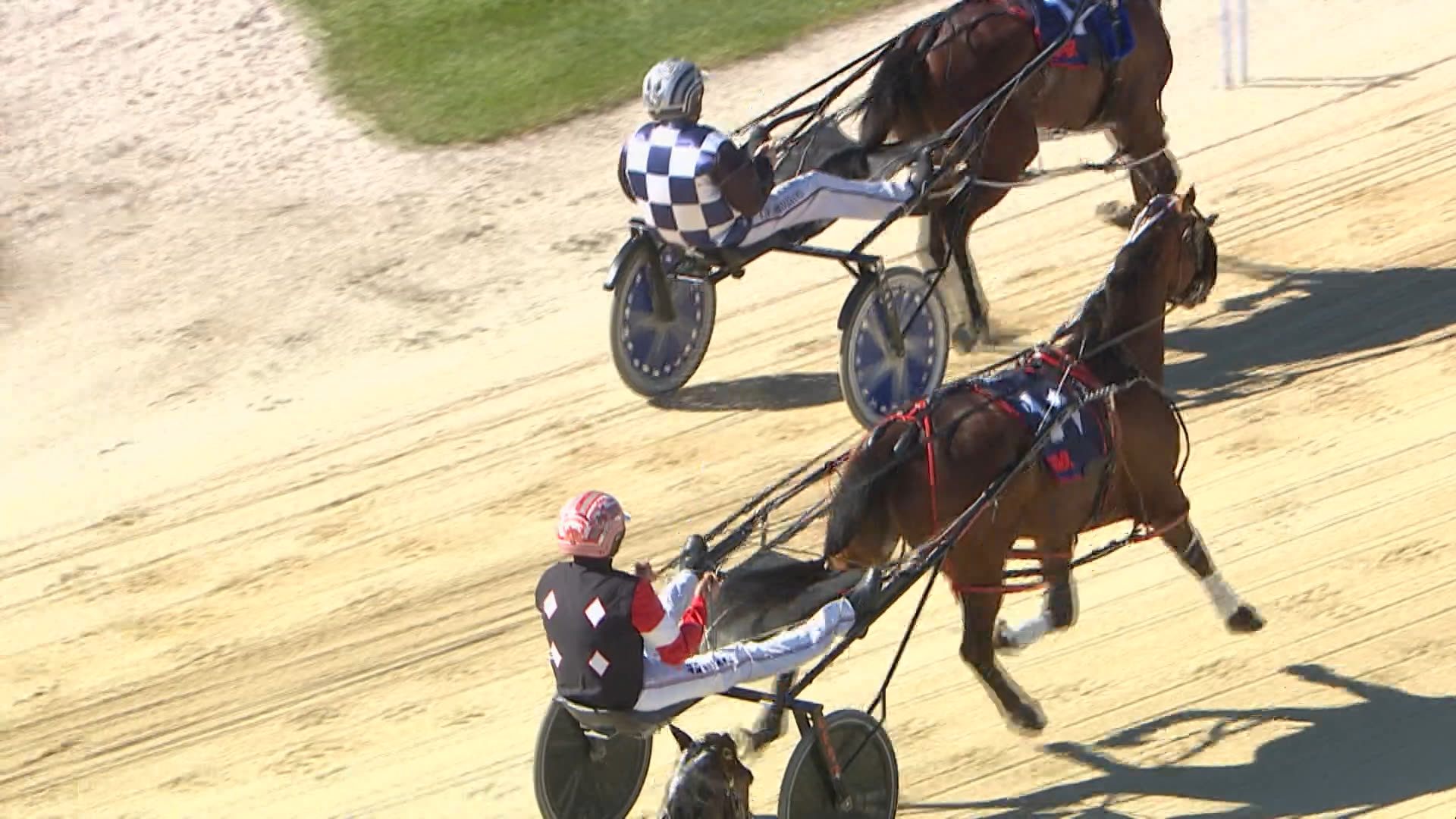 Addington Race 6: 14-11-2025