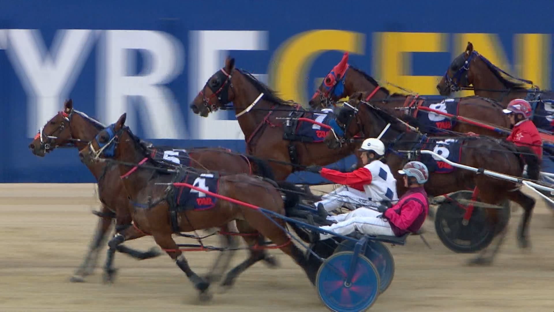 Addington Race 6: 28-11-2025