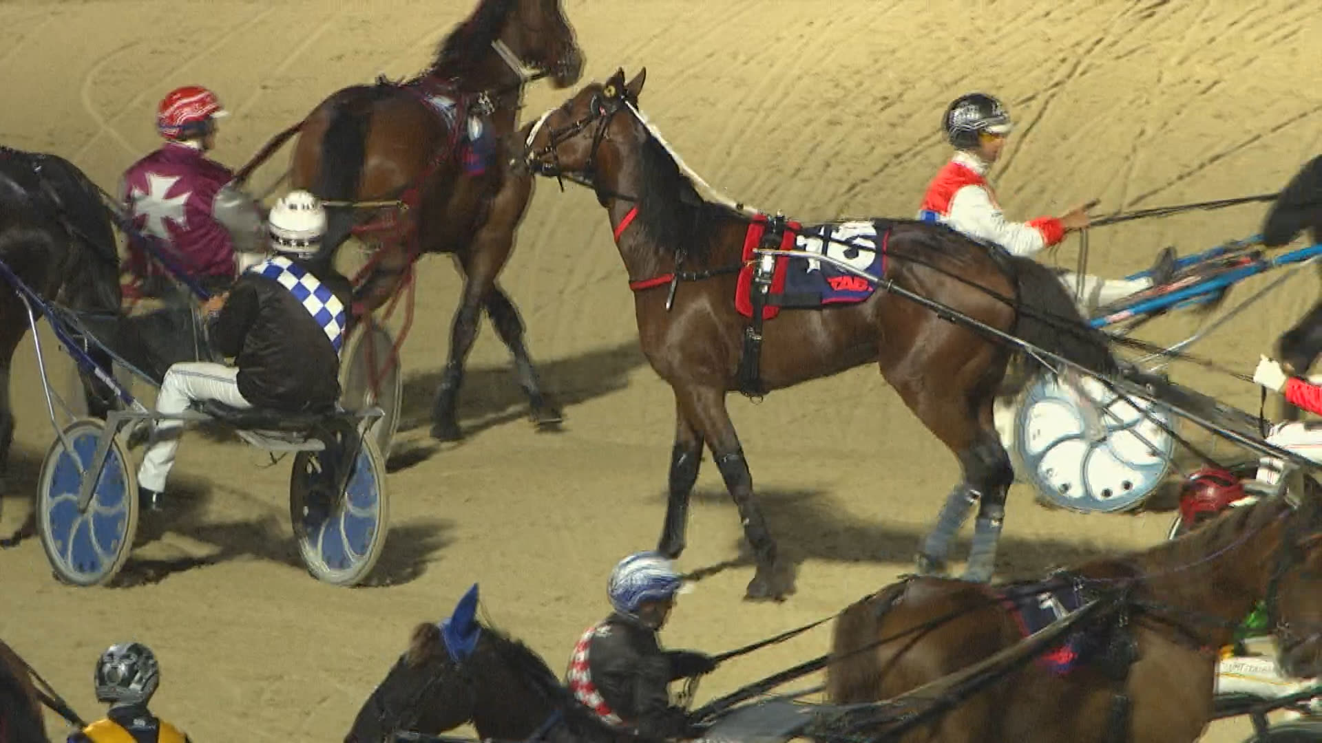 Addington Race 11: 21-11-2025