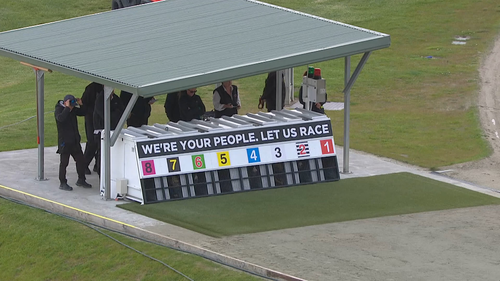 Addington Race 12: 05-11-2025