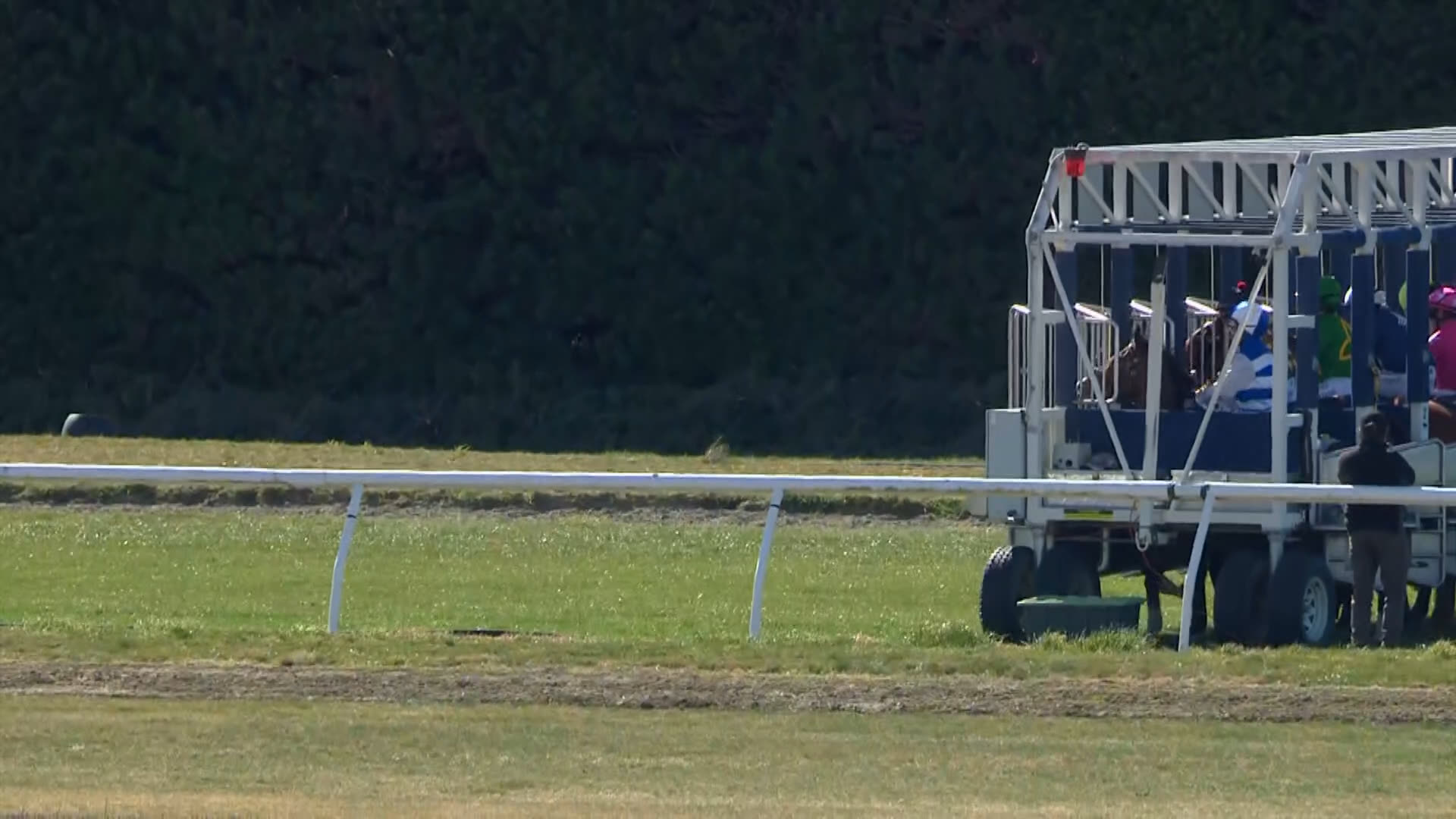 Timaru Race 2: 07-09-2025