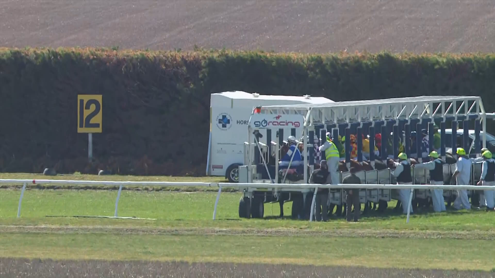 Timaru Race 3: 24-09-2025