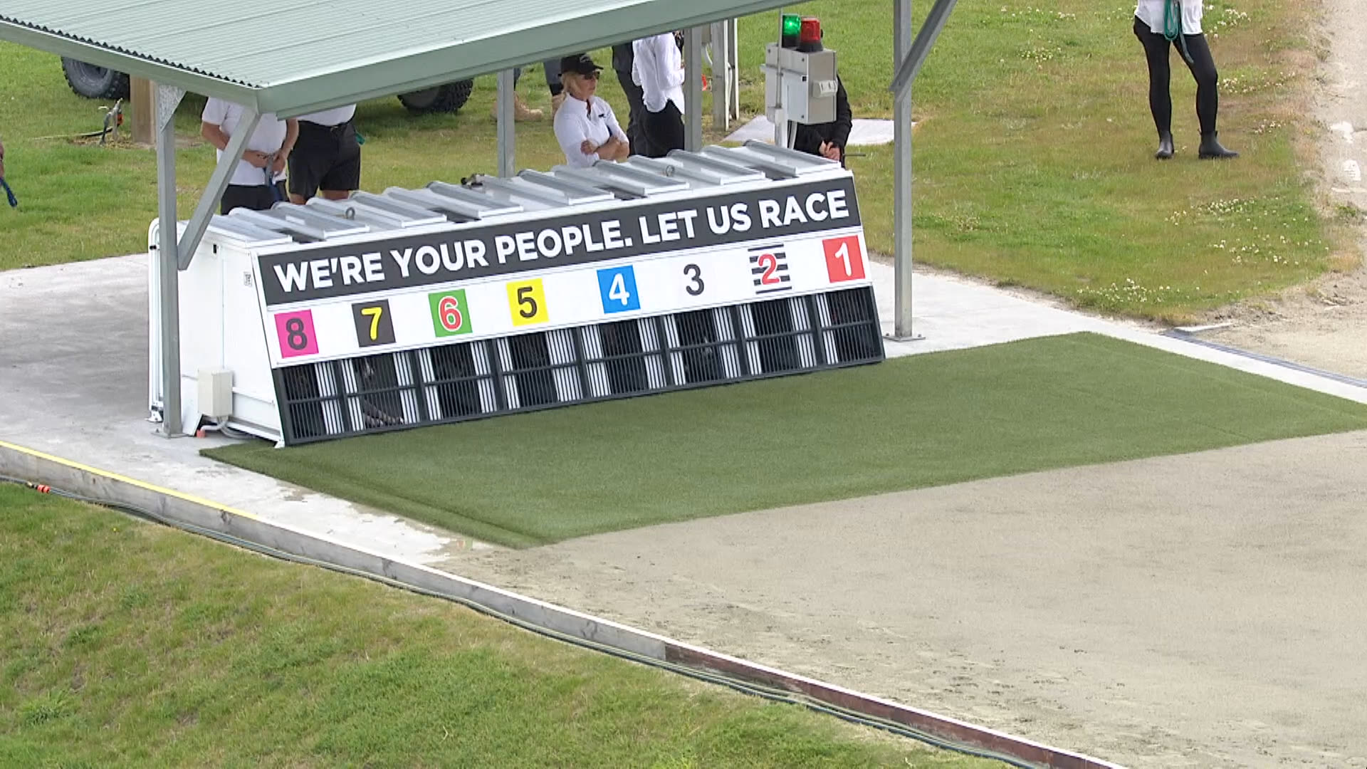 Addington Race 7: 26-01-2026