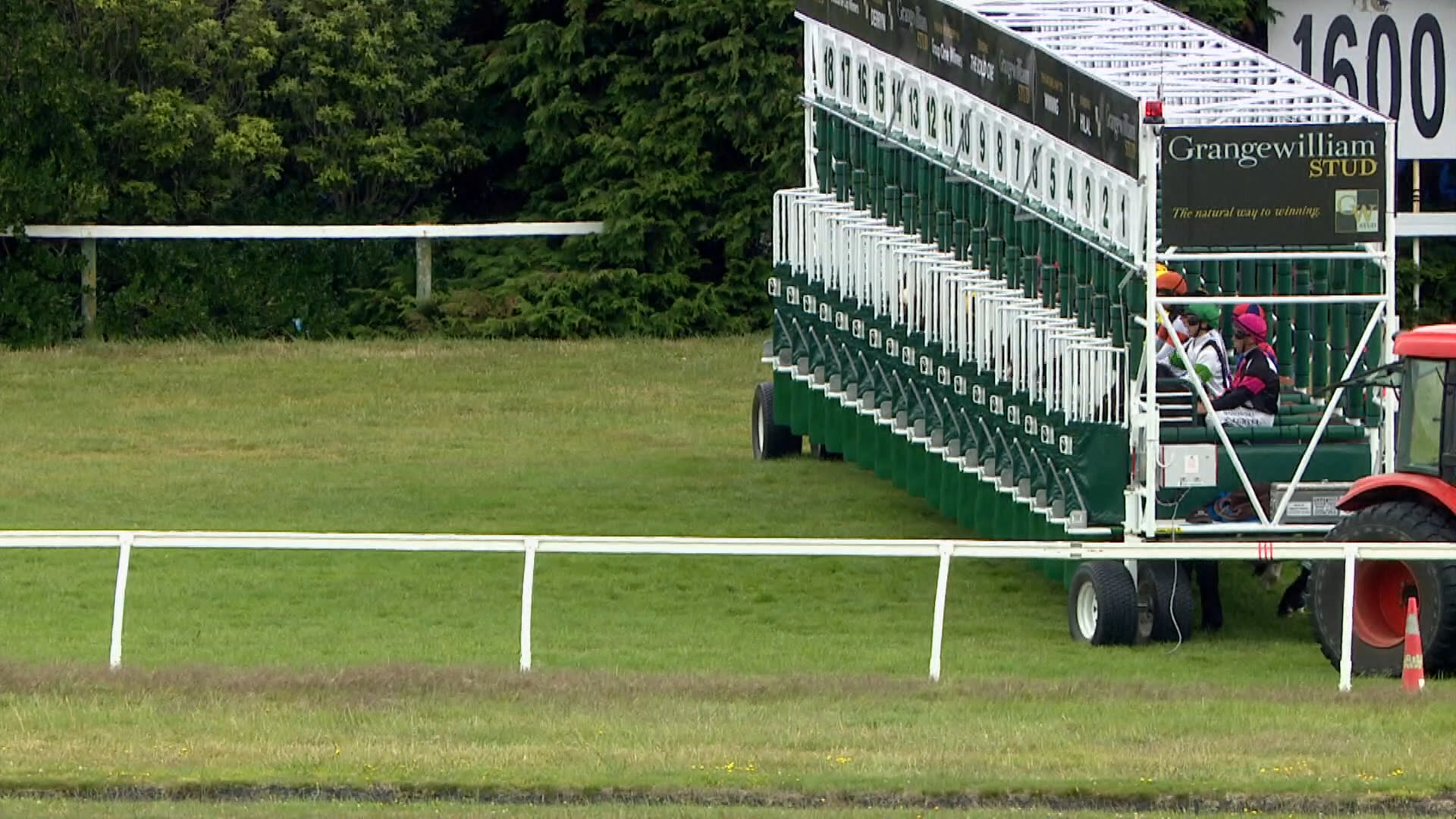 Trentham Race 6: 03-01-2026