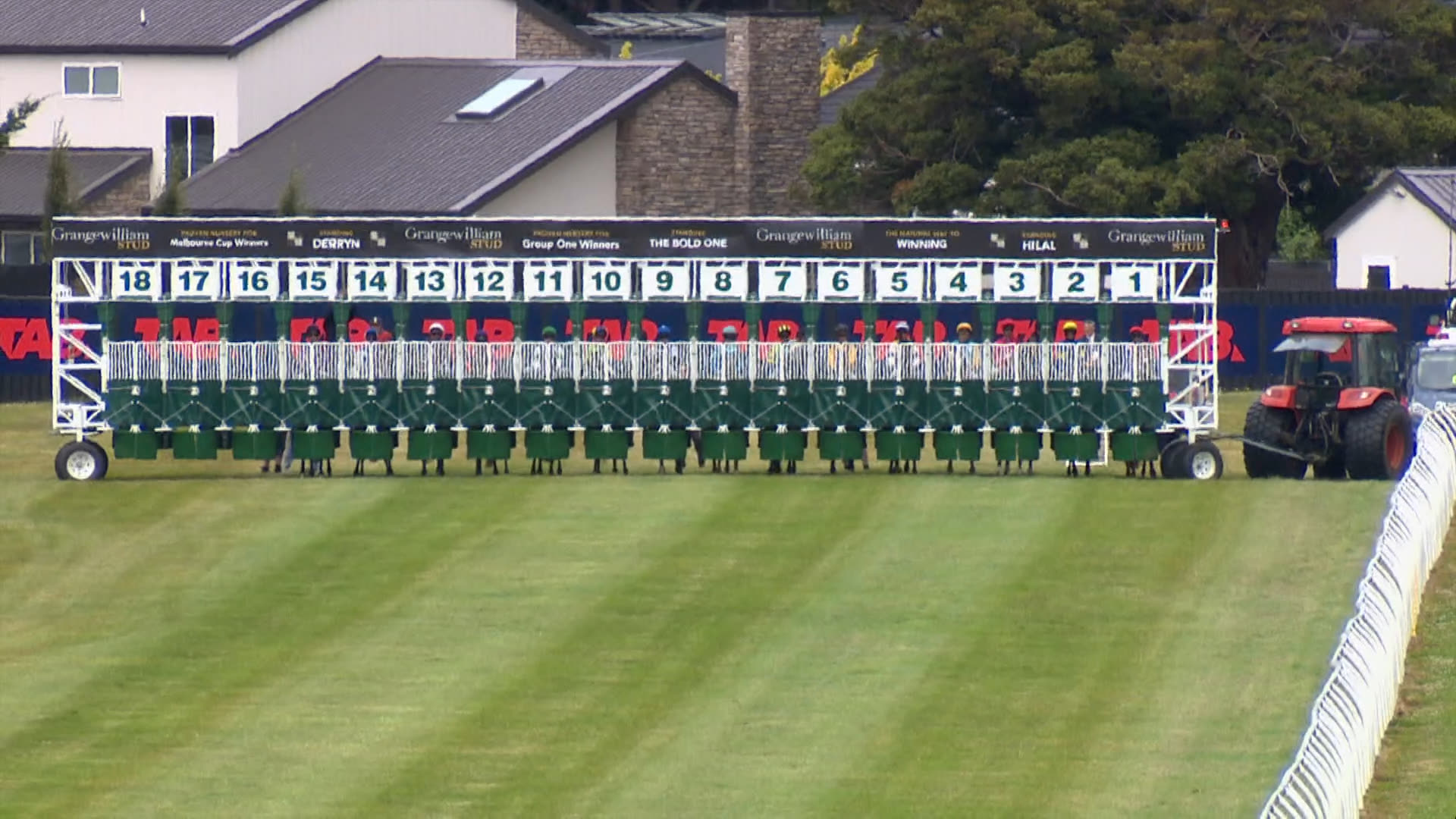 Trentham Race 8: 03-01-2026